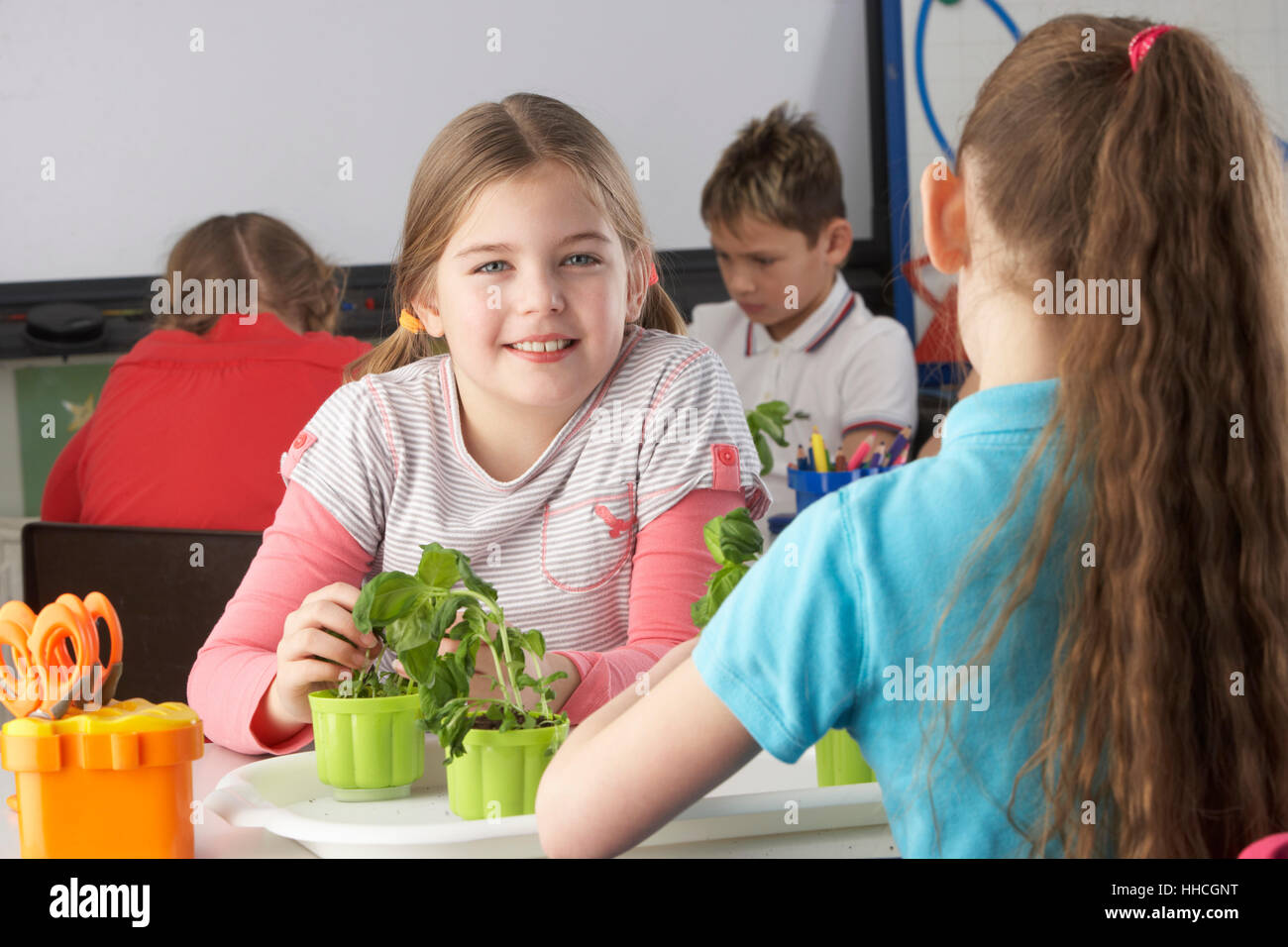 Children Growing Plants Classroom Stock Photos & Children Growing ...