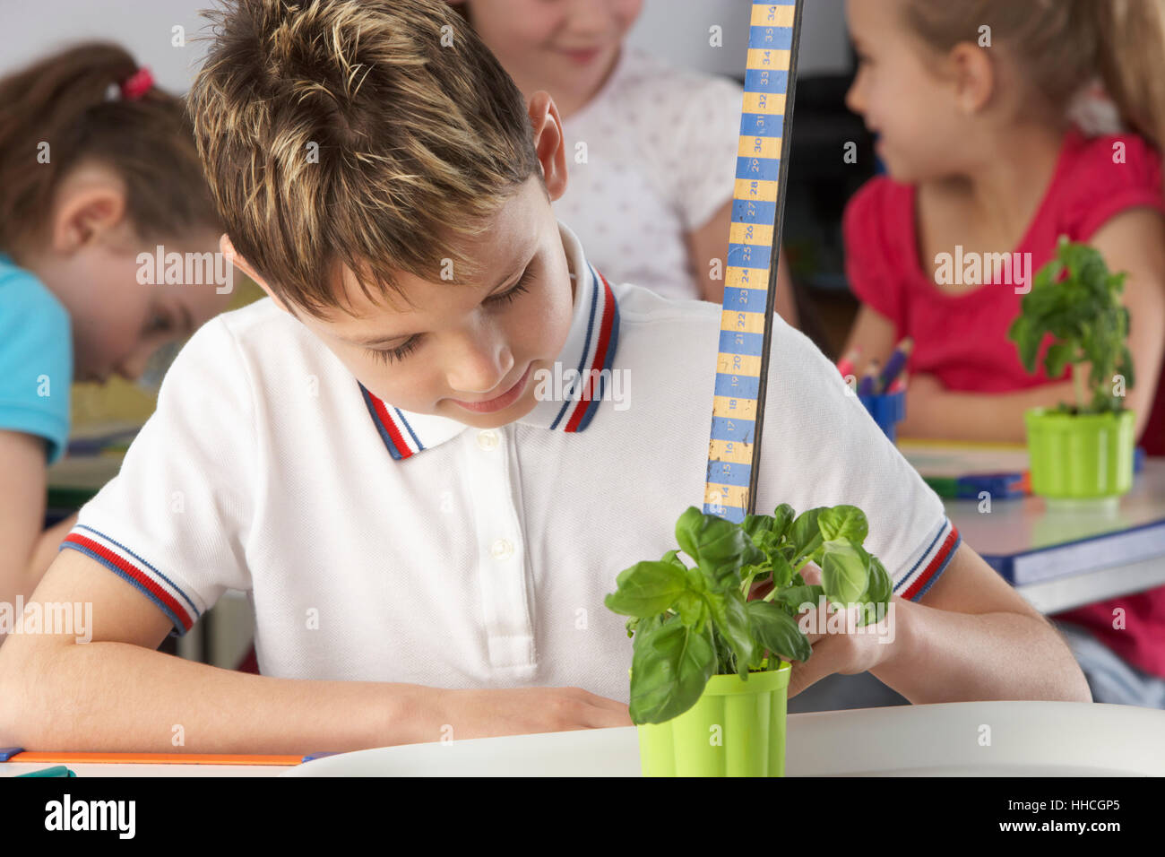 Boy learning about plants in school class Stock Photo - Alamy