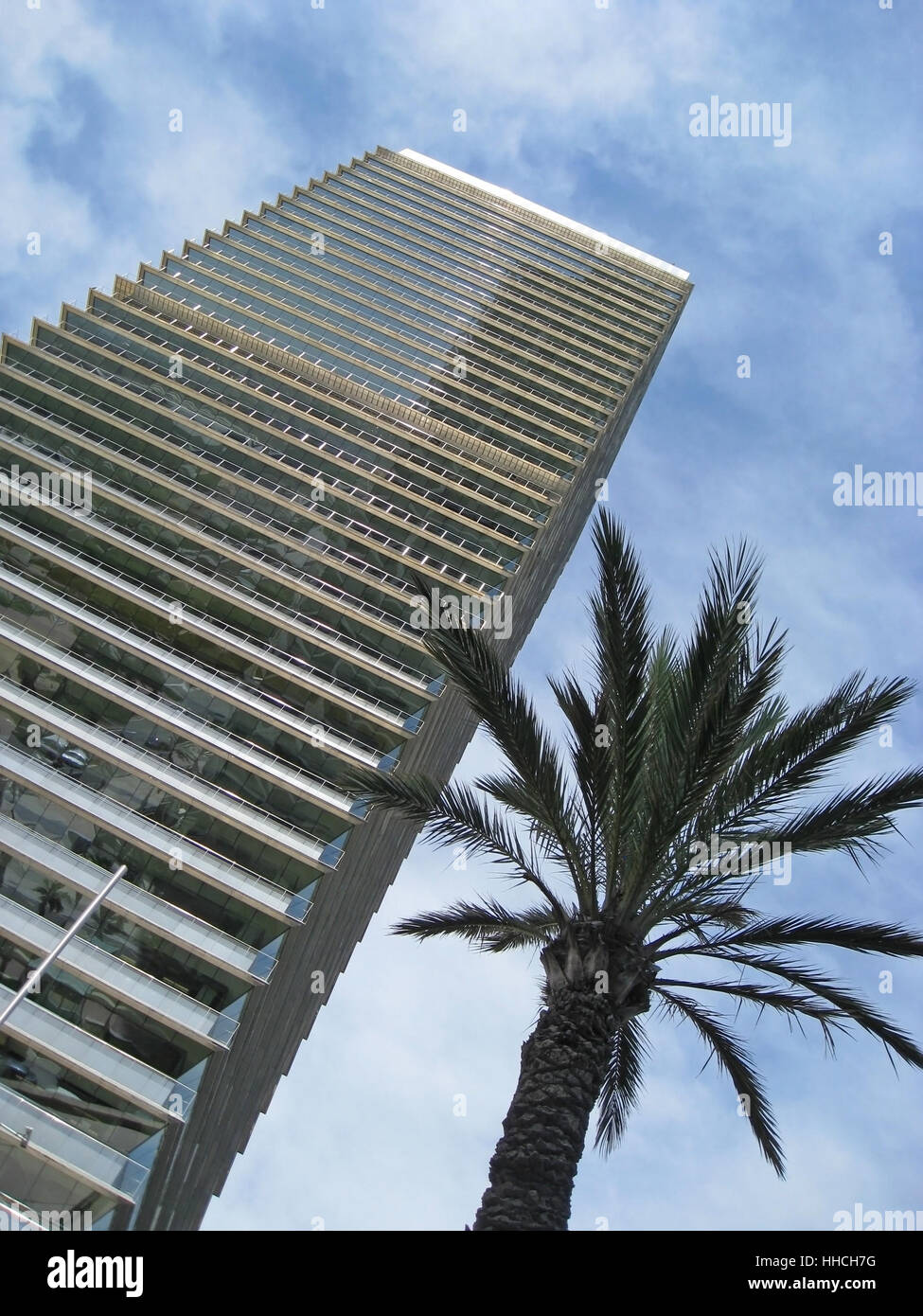 dynamic shot of a high rise building near a palm tree in Barcelona ...