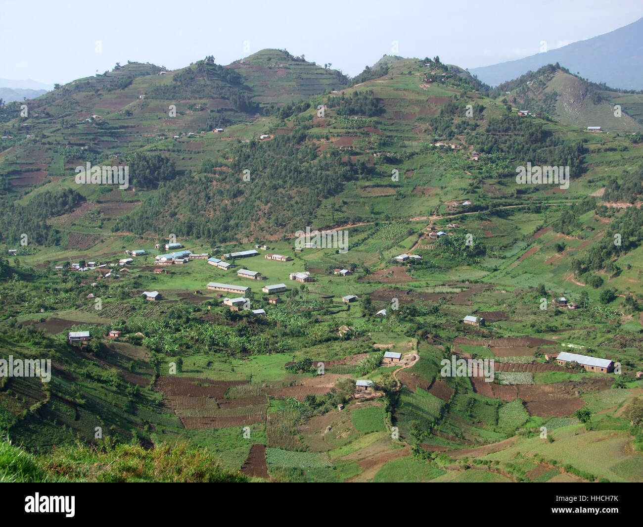 africa, uganda, nature, landscapes, agricultural, tree, hill, africa ...