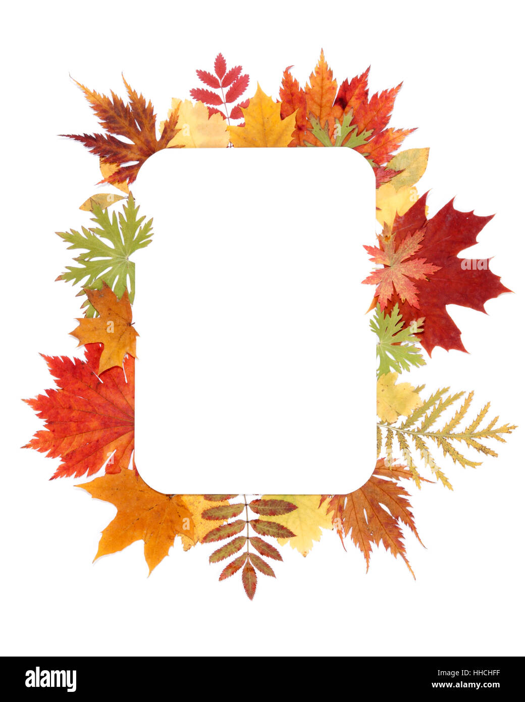 note, memo, arrangement, leaf, isolated, colour, model, design, project ...