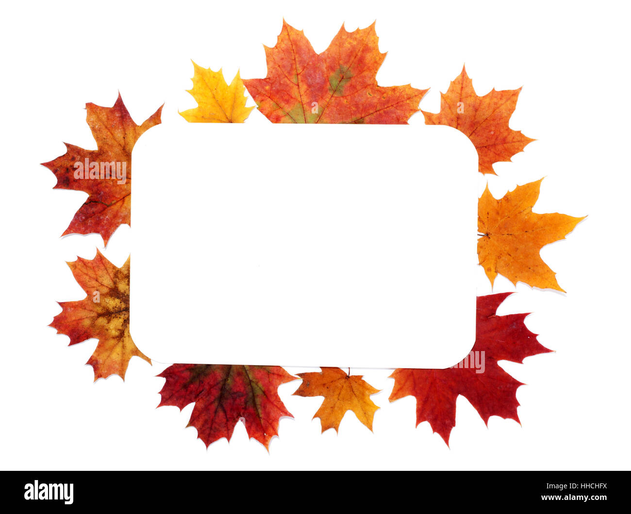 note, memo, arrangement, leaf, isolated, colour, model, design, project ...