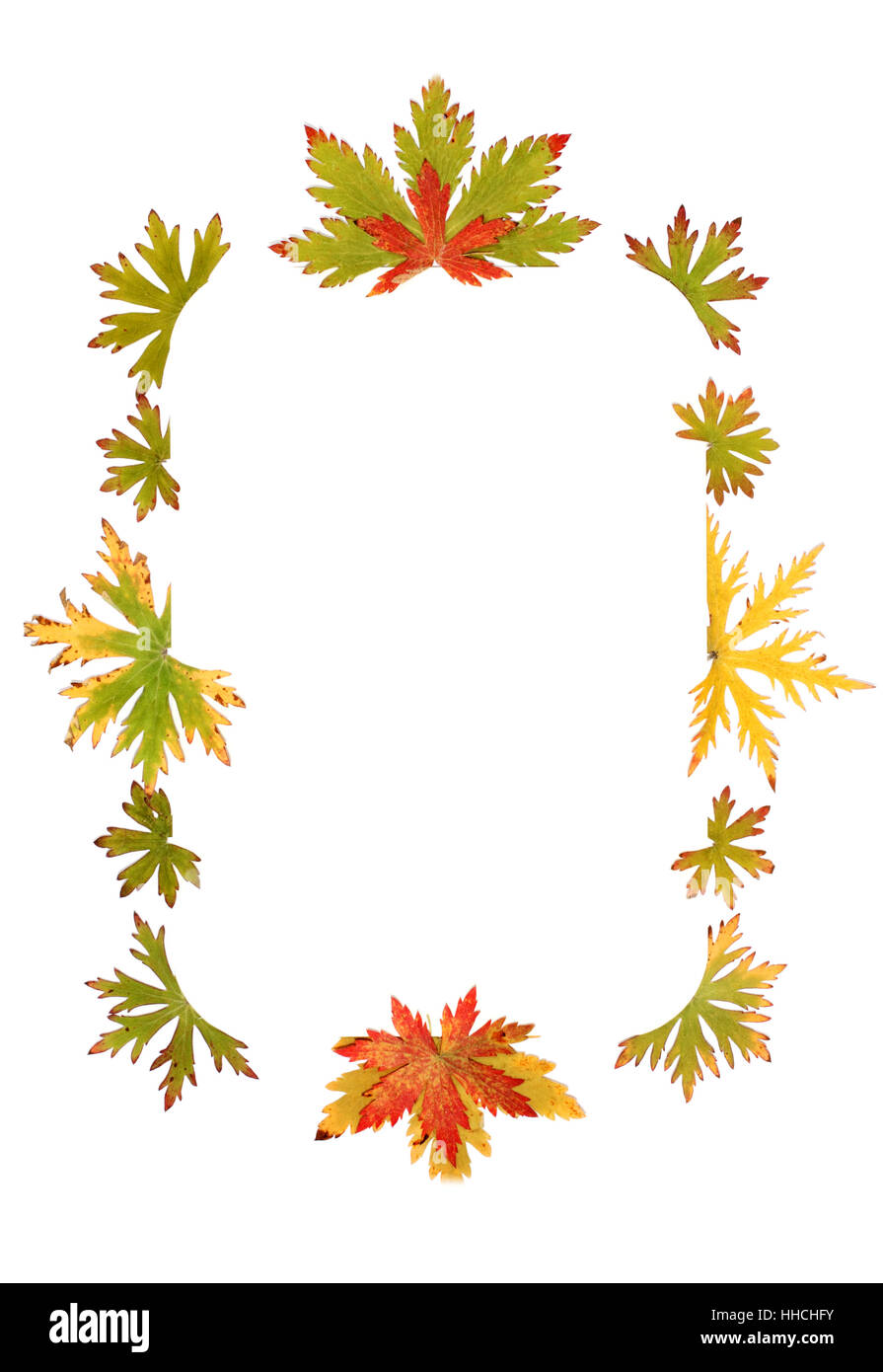 note, memo, arrangement, leaf, isolated, colour, model, design, project ...