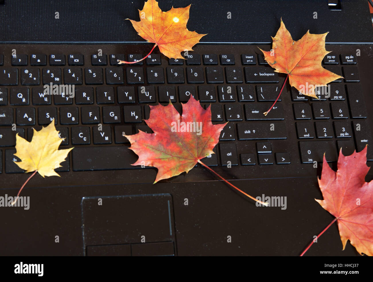 laptop, notebook, computers, computer, keyboard, PC, beautiful ...