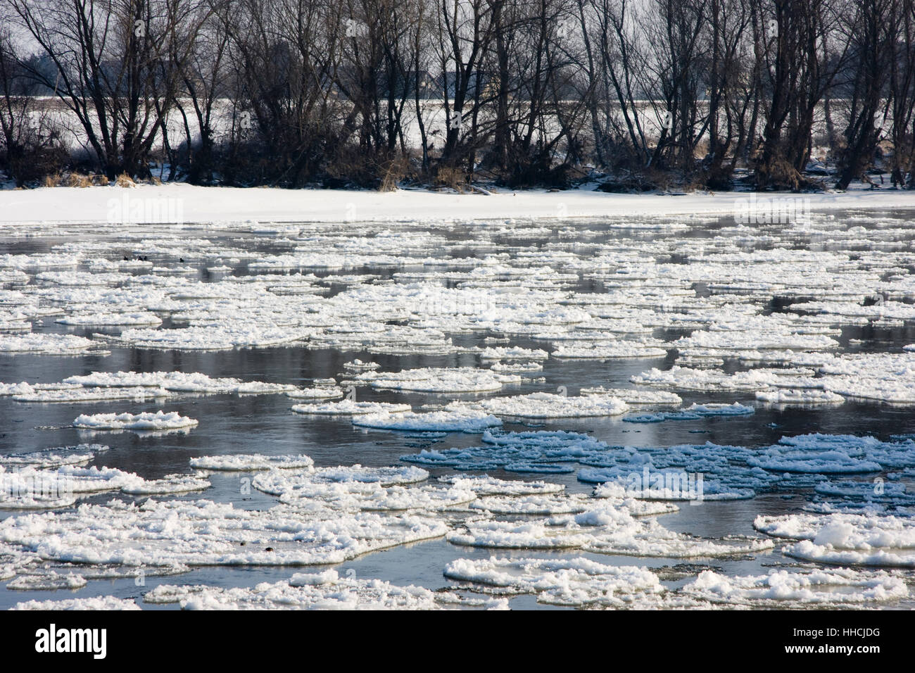 ice, coat of ice, winter landscape, floe, drift ice, snow, bank, shore ...