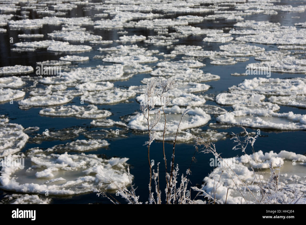 ice, coat of ice, winter landscape, floe, drift ice, snow, bank, shore ...