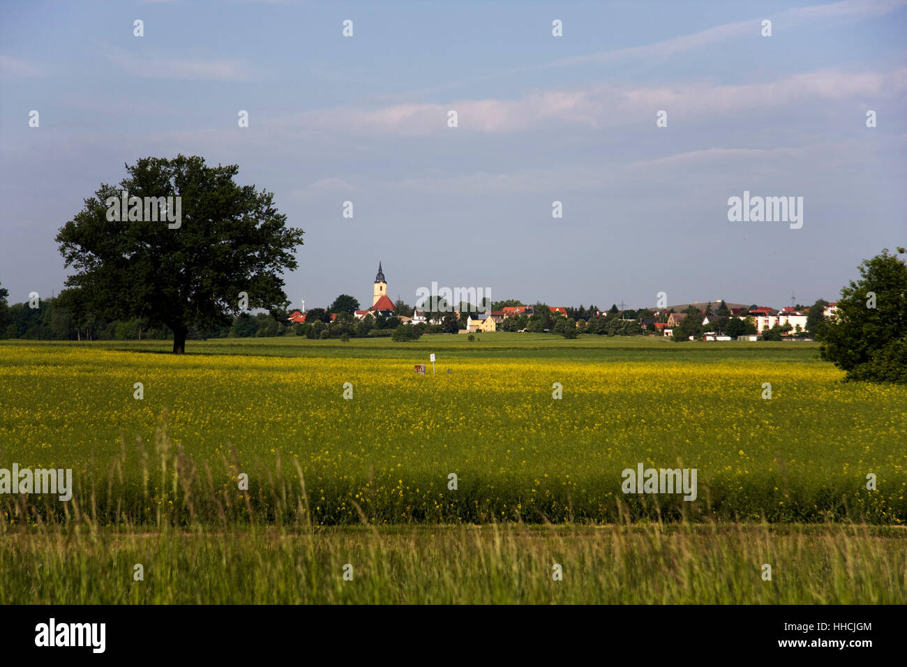 dirt road, field, spring, idyll, scenery, countryside, nature, meadow ...