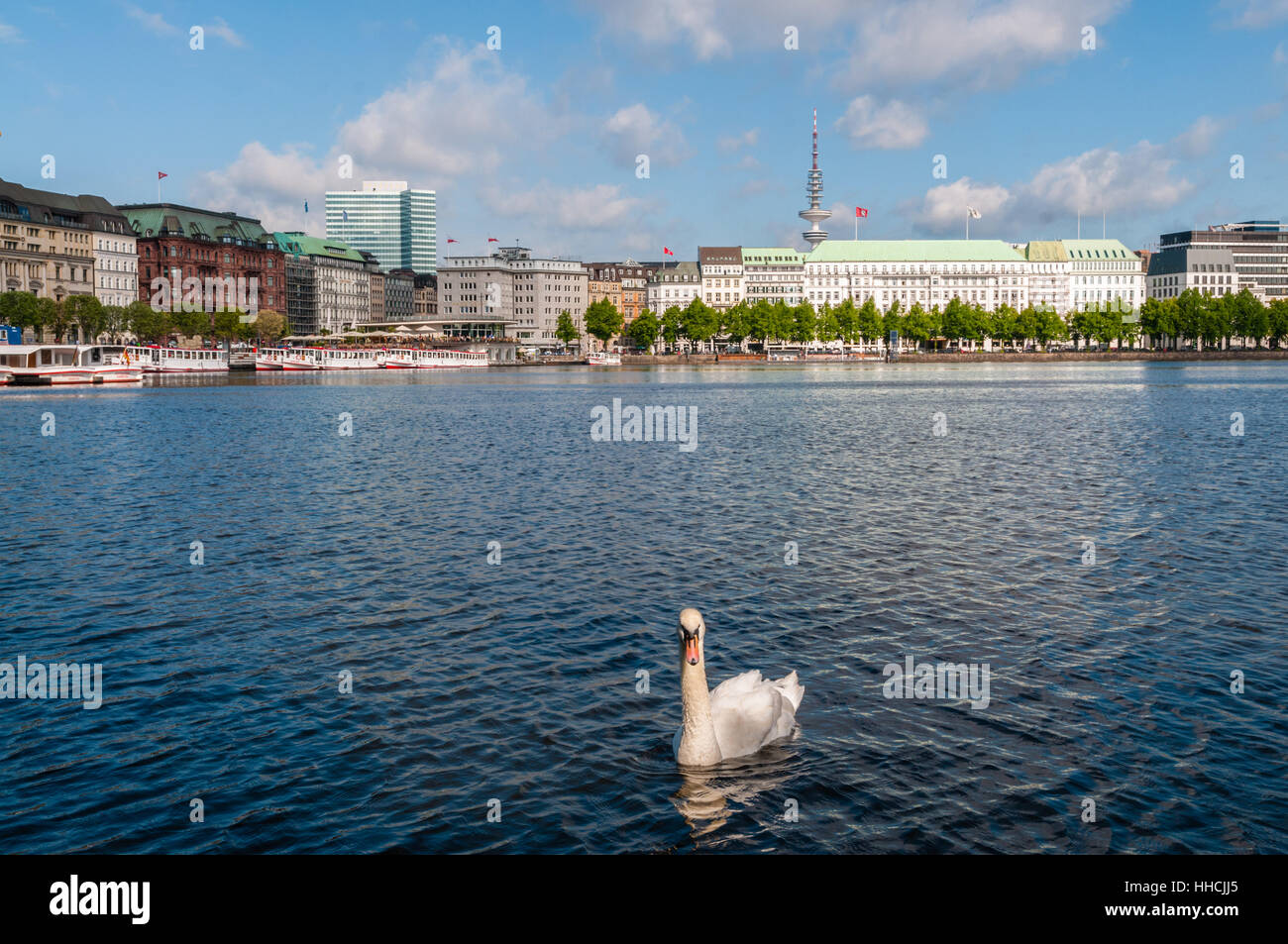 Steamer the swan hi-res stock photography and images - Alamy