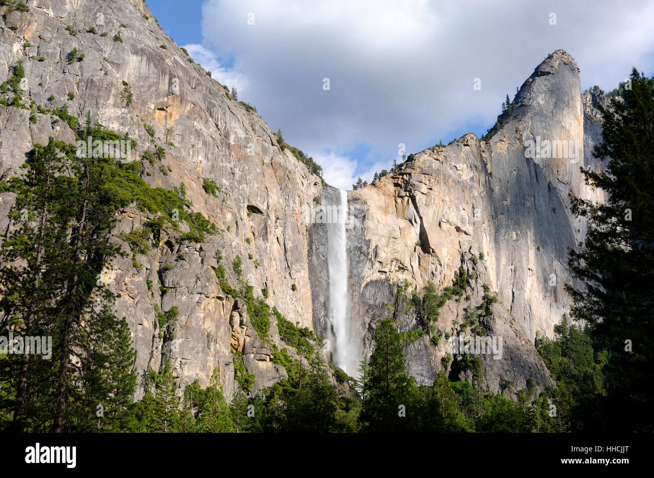 environment, enviroment, california, america, spruce, water ...