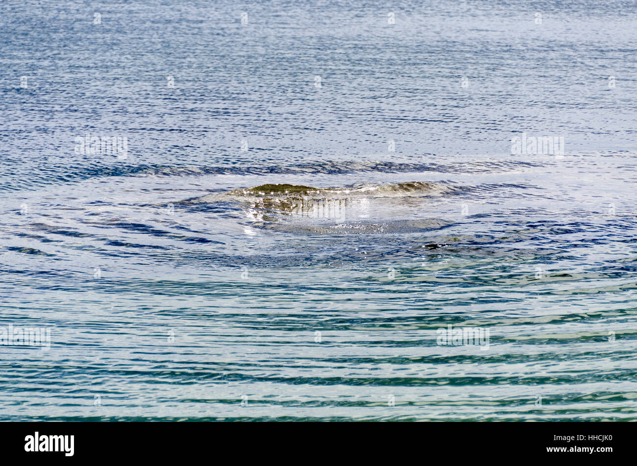 summer, summerly, america, fresh water, lake, inland water, water ...