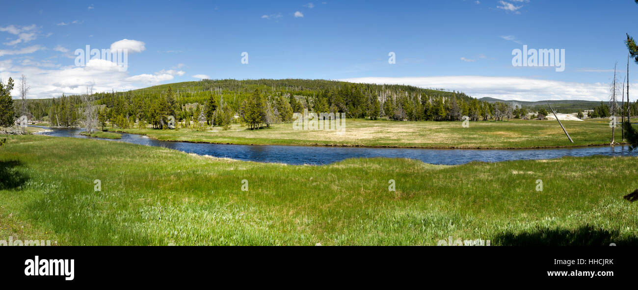 environment, enviroment, tree, trees, america, spruce, water ...