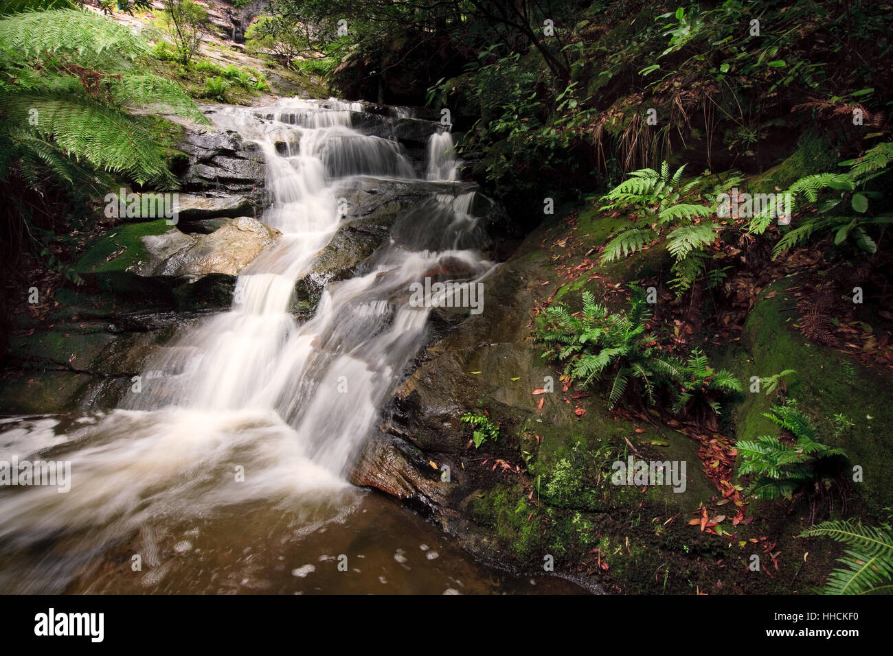 Stream cascades down a rocky slope in an Australian temperate rain ...