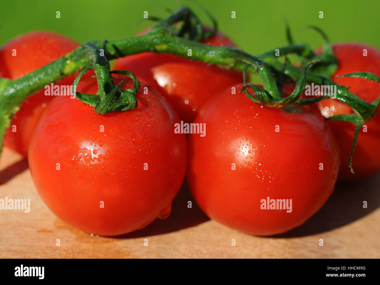 shrub, tomatoes, tomatos, tomato, freshness, shrub, vegetable, washed ...
