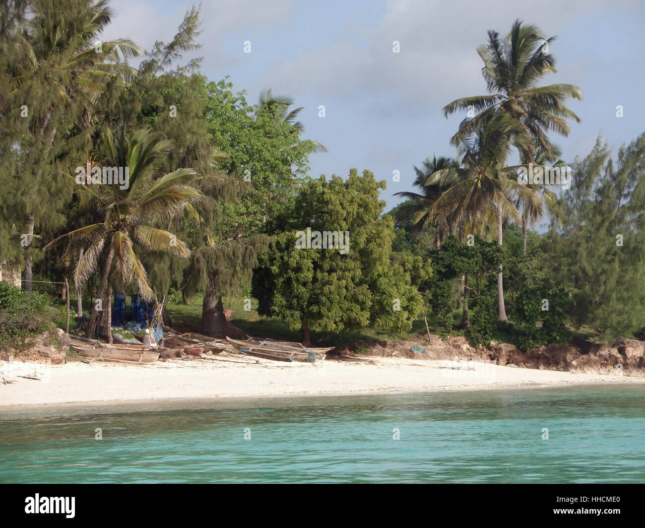 beach, plants and sea in Zanzibar (Africa Stock Photo - Alamy