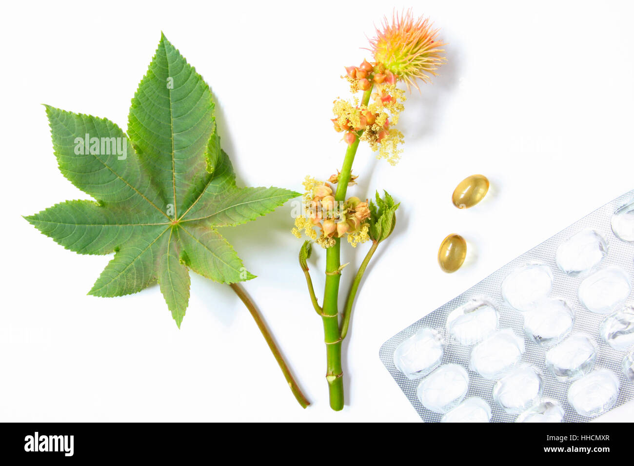 Oil laxative oil capsule constipation hi-res stock photography and ...