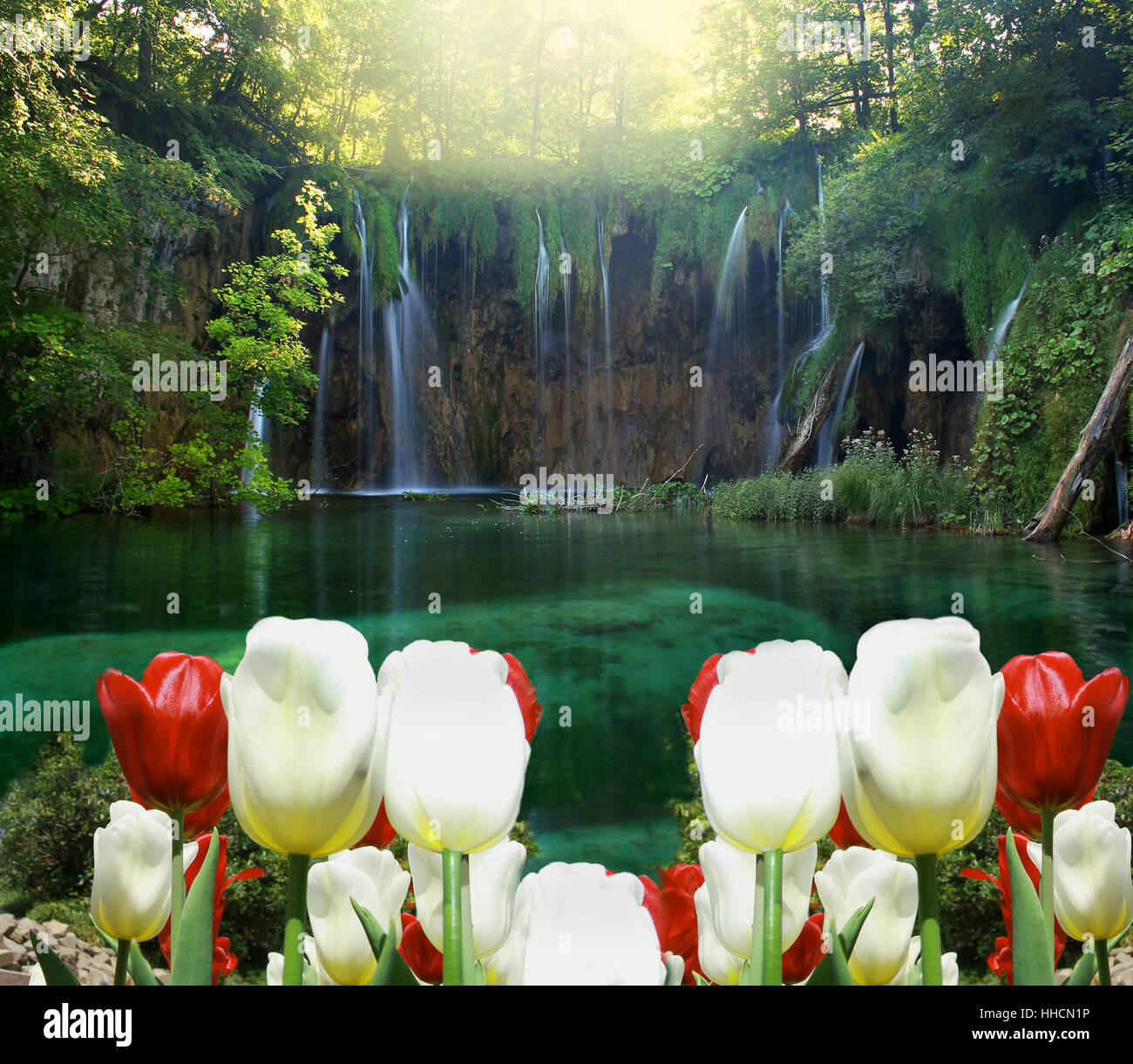 blue, beautiful, beauteously, nice, leaf, travel, environment ...