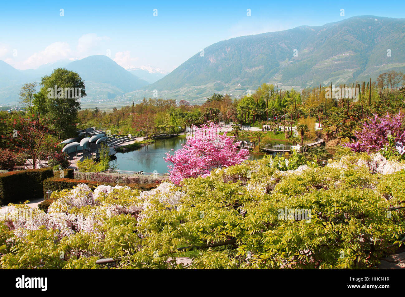 blue, beautiful, beauteously, nice, environment, enviroment, tree, hill ...
