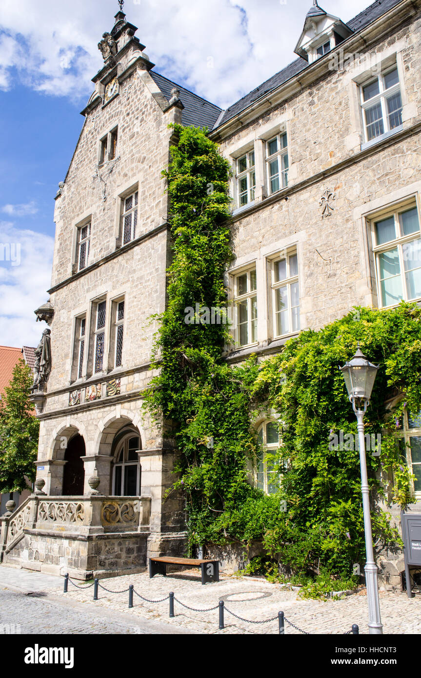 town hall, house, building, sightseeing, town hall, saxony-anhalt, ivy ...