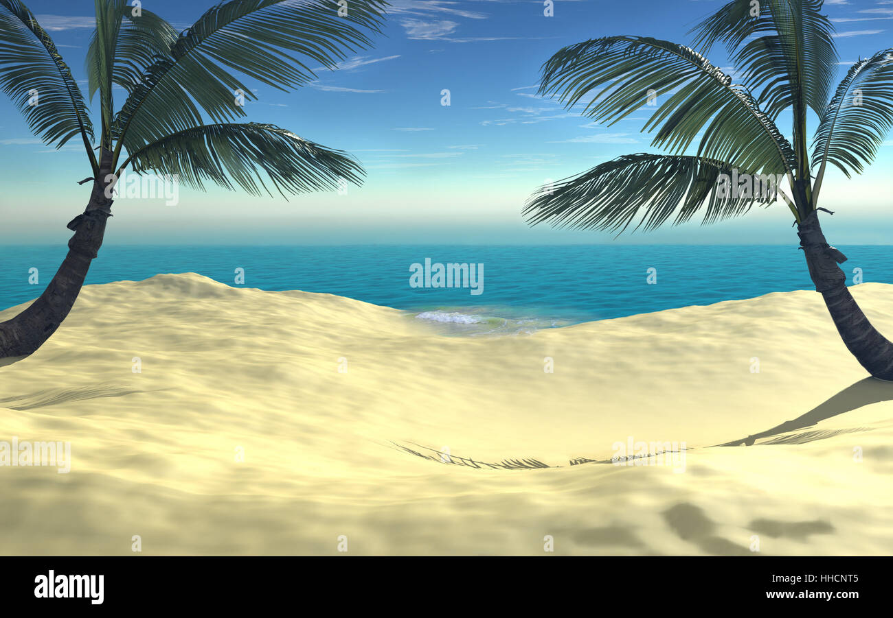 blue, beach, seaside, the beach, seashore, tropical, palm, salt water ...