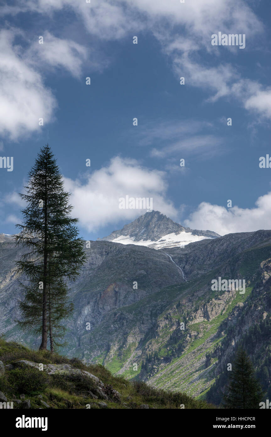 south tyrol, rock, tyrol, massif, mountain, italy, tree, trees, stone ...
