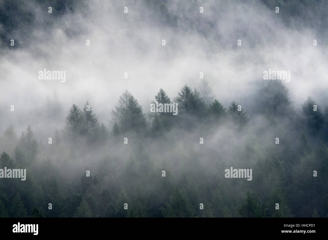 suedtirol 054 south tyrol 054 Stock Photo - Alamy suedtirol 054 south tyrol 054 Stock Photo - Alamy
