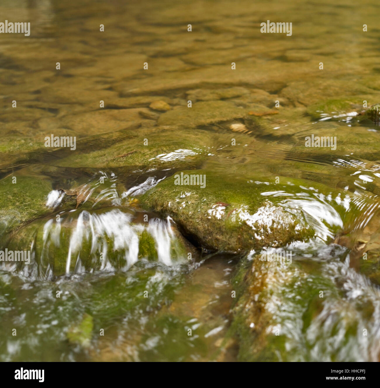 Stony stream hi-res stock photography and images - Alamy