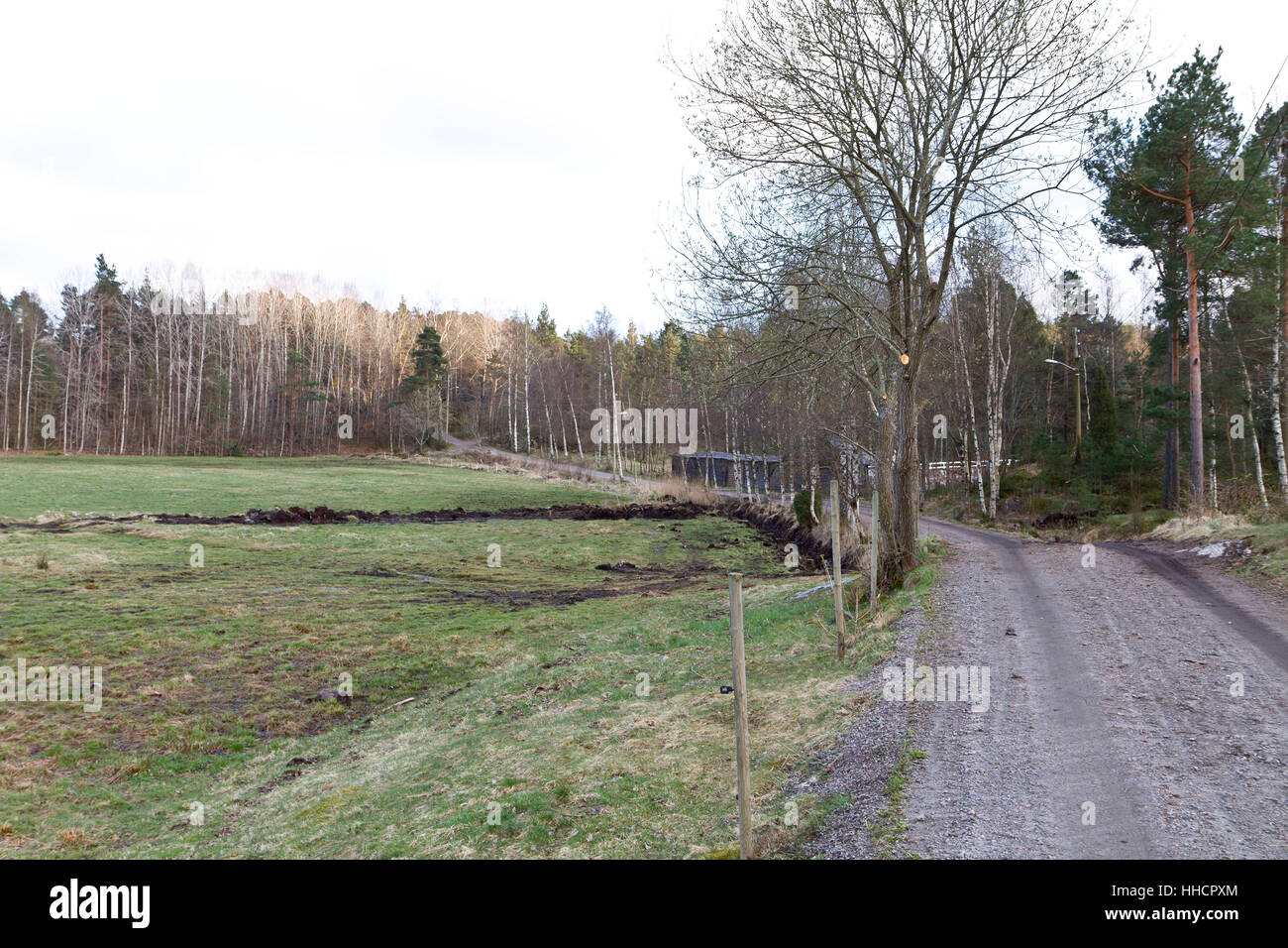 agricultural, bucolic, tree, agriculture, outside, conifer, fence ...