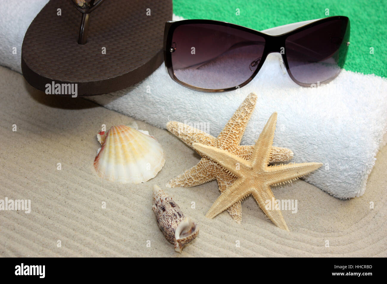 beach, seaside, the beach, seashore, sandy beach, starfish, sea animals ...