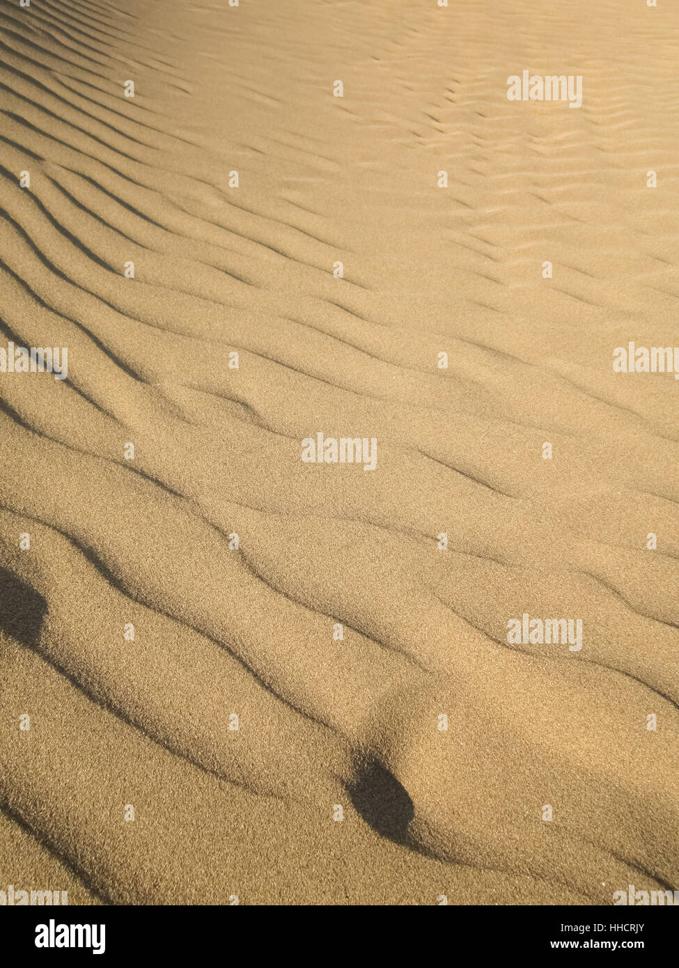 desert, wasteland, tourism, africa, adventure, dry, dried up, barren ...