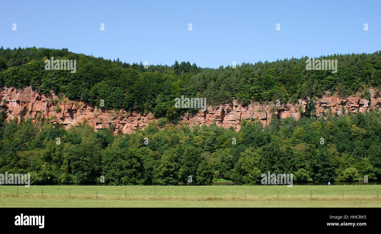tree, trees, quarry, freestones, forest, tree, trees, quarry ...