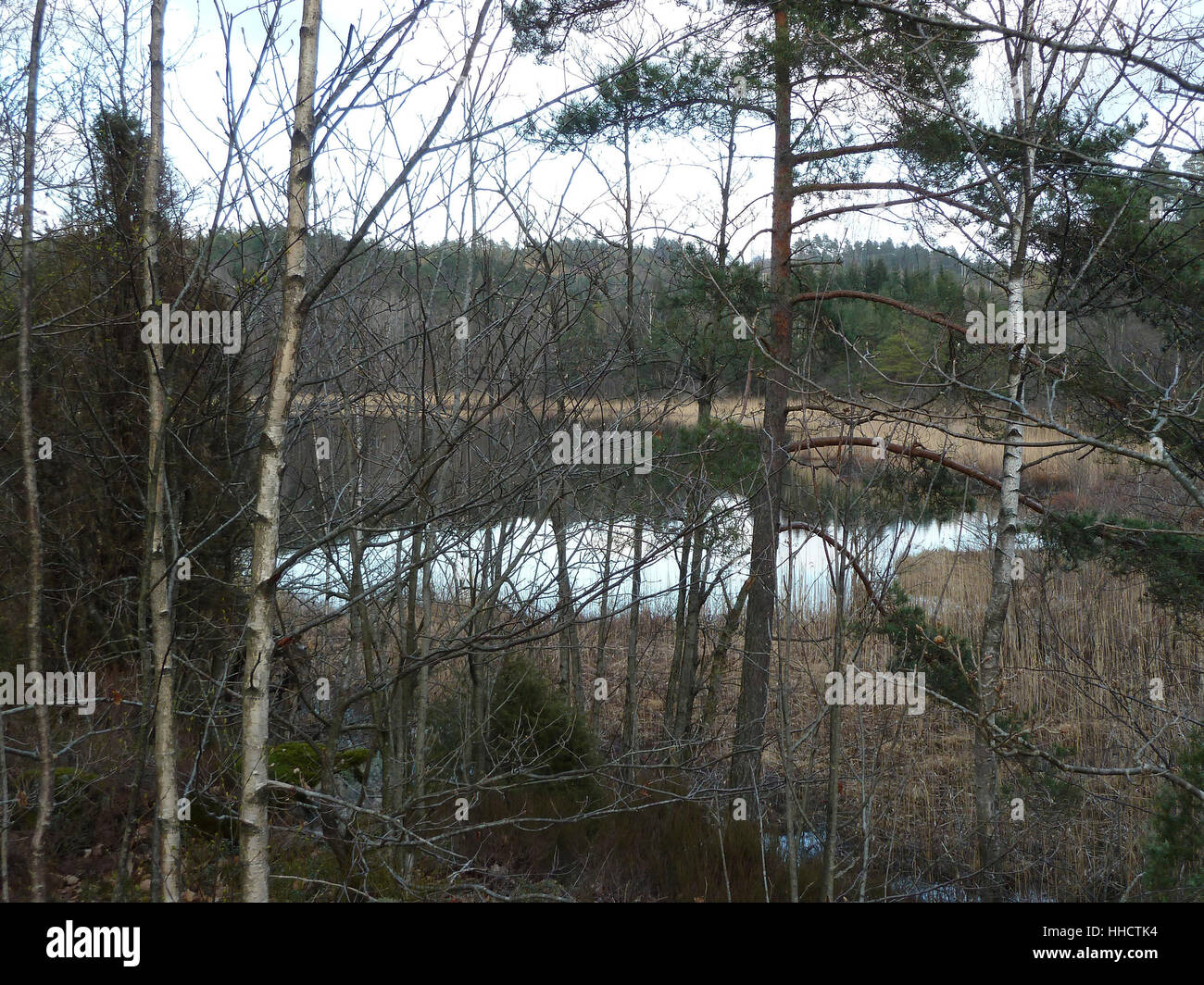 Original bog landscape hi-res stock photography and images - Alamy
