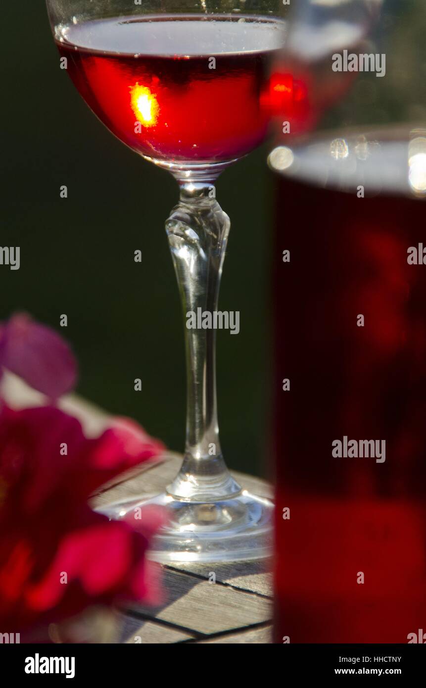 glass, chalice, tumbler, flower, rose, plant, wine, sunlight, counter ...