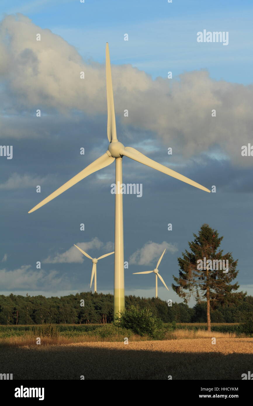 energy, power, electricity, electric power, wind force, wind energy ...