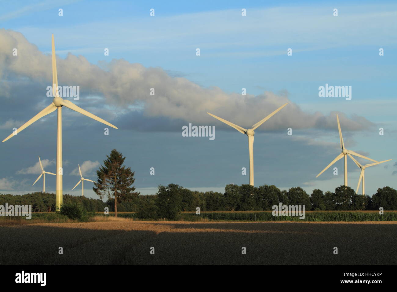 energy, power, electricity, electric power, wind force, wind energy ...