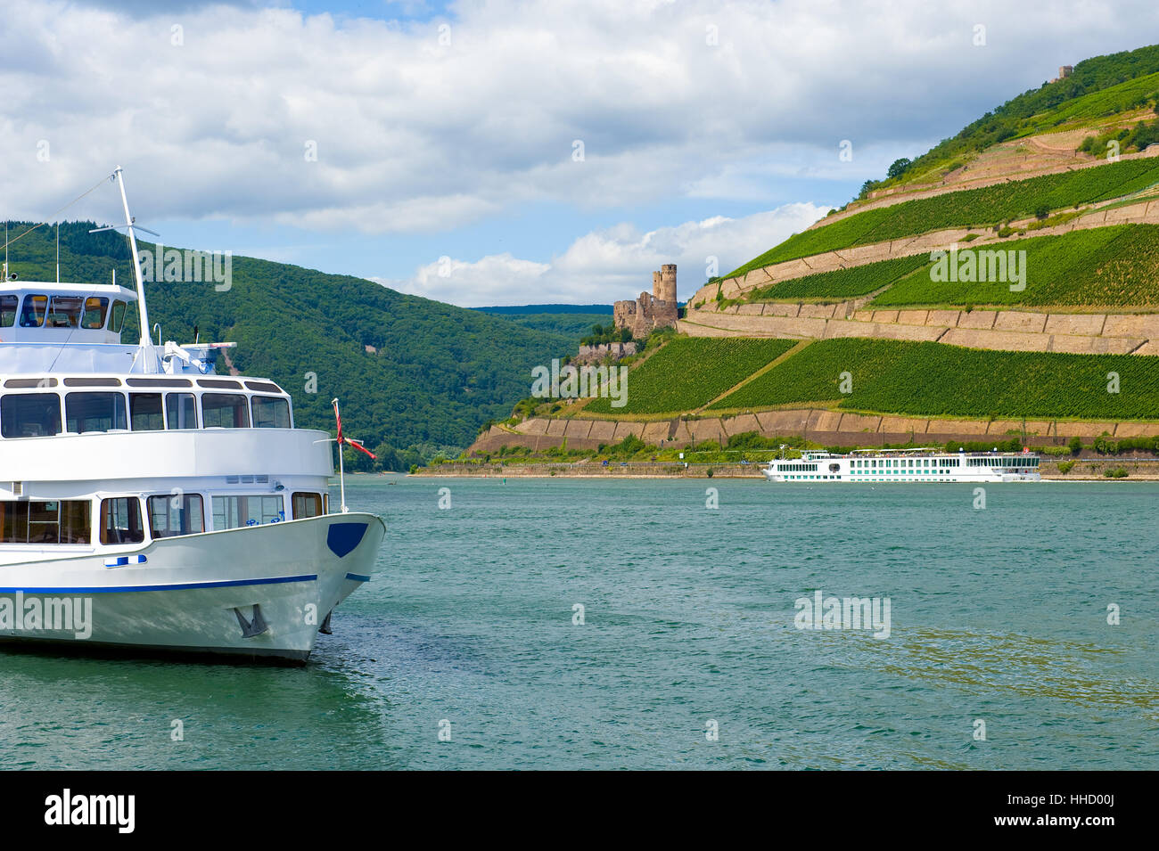 rhein- landscape with vineyard and castle ruin (germany Stock Photo - Alamy