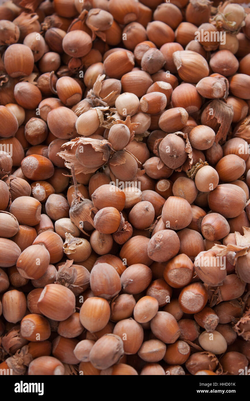 food, aliment, wood, shell, fruit, nuts, peanut, dry, dried up, barren ...