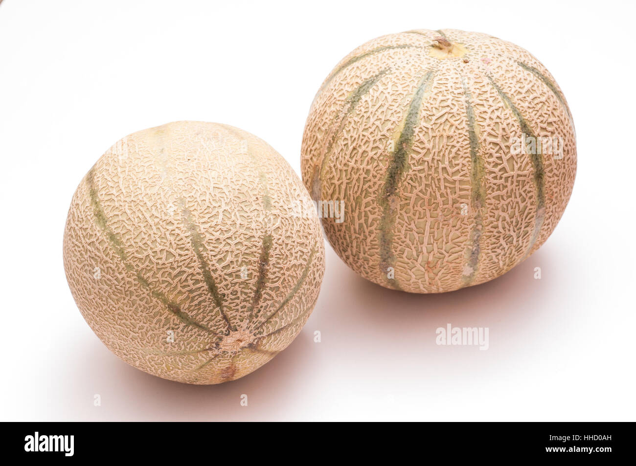 two charentais melons Stock Photo - Alamy