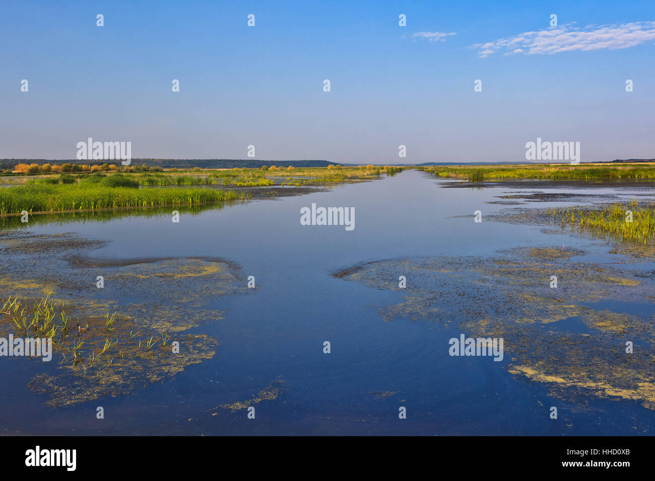 blue, beautiful, beauteously, nice, environment, enviroment, summer ...