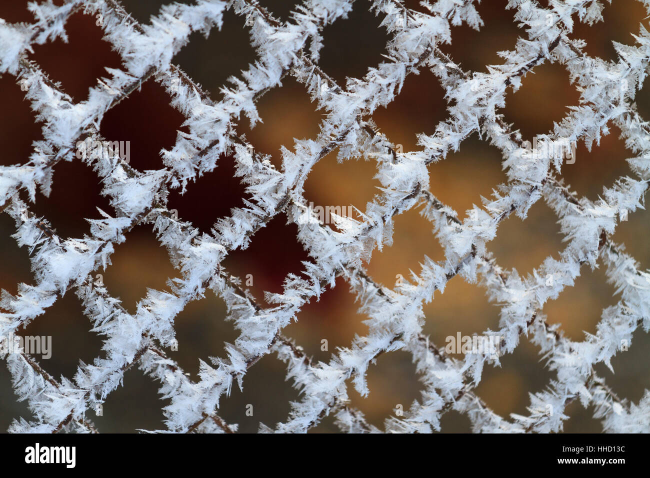 beautiful structure of frost on colored backgrounds,winter, winter is ...