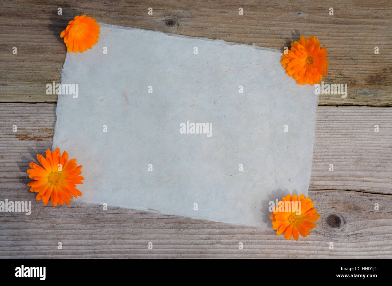 slip, board, wood, flower, flowers, plant, blossoms, skew, gift, true ...