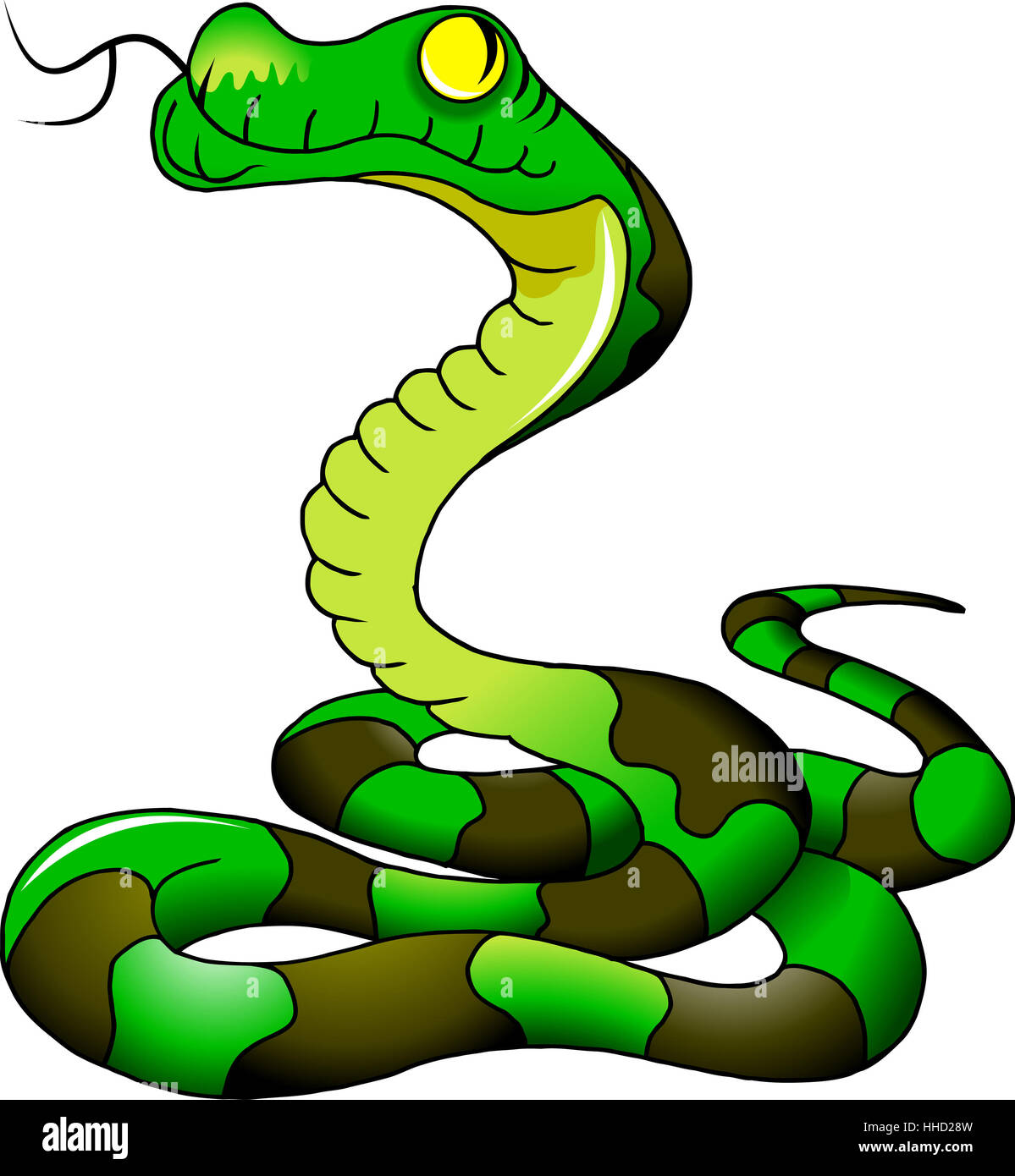 isolated, animal, reptile, green, wild, painting, illustration ...