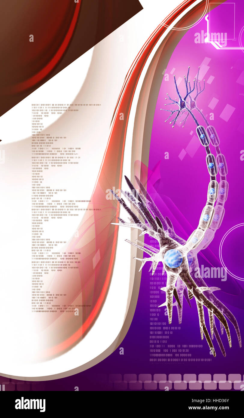 education, medicinally, medical, graphics, colour, science ...