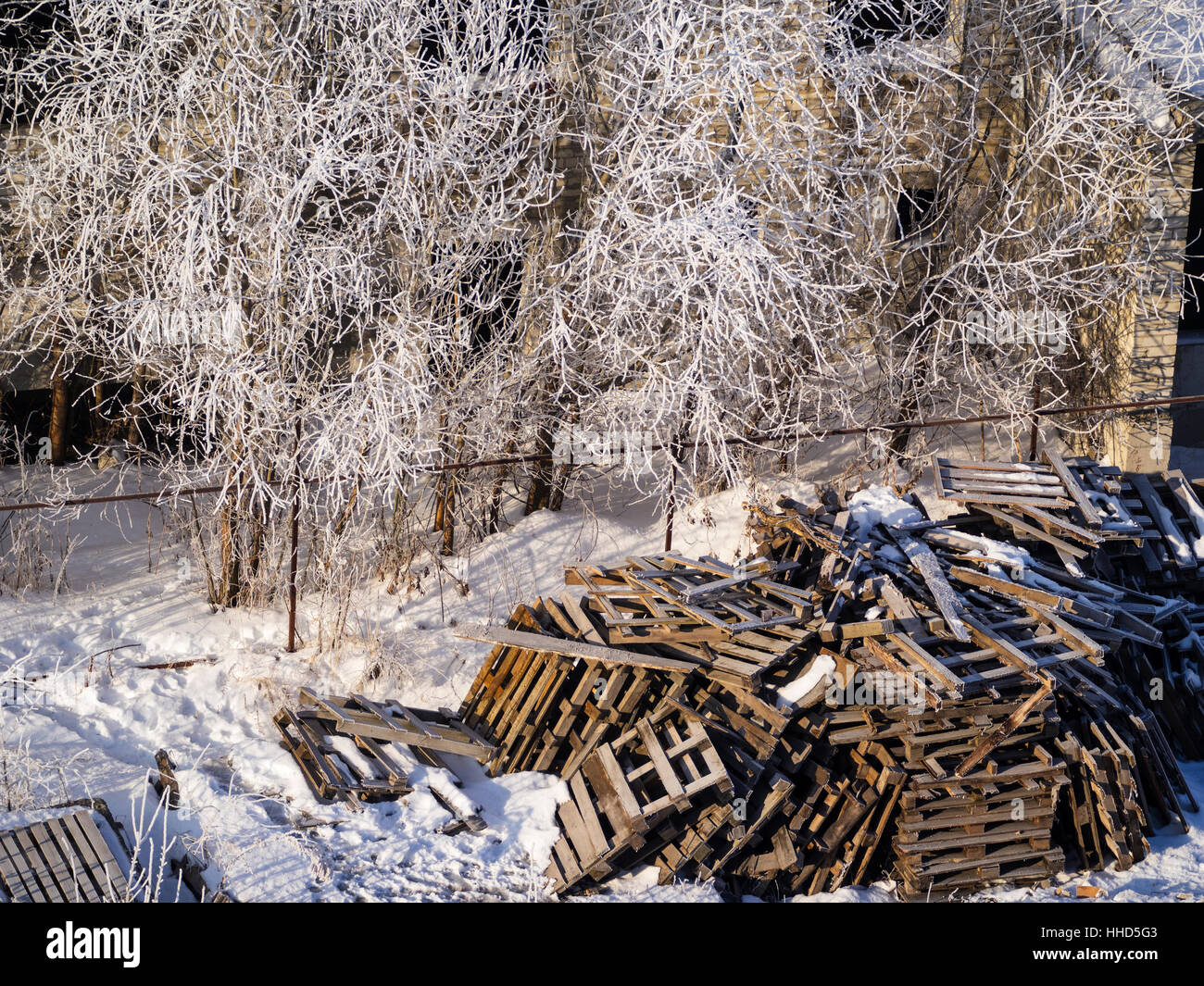 Stack of wooden pallets covered with snow Stock Photo - Alamy