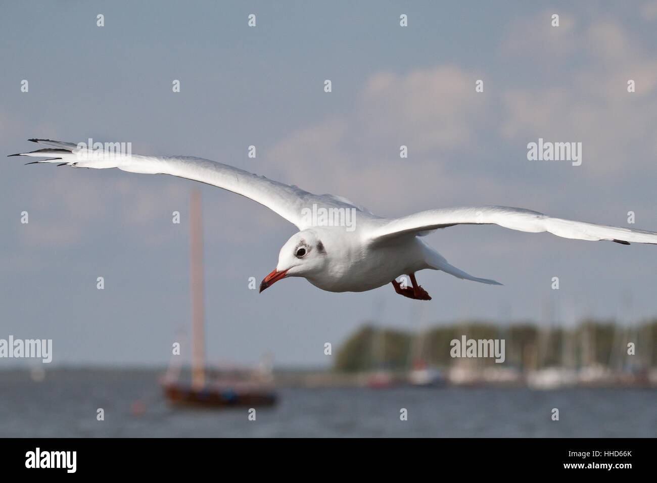 Mast meer hi-res stock photography and images - Alamy