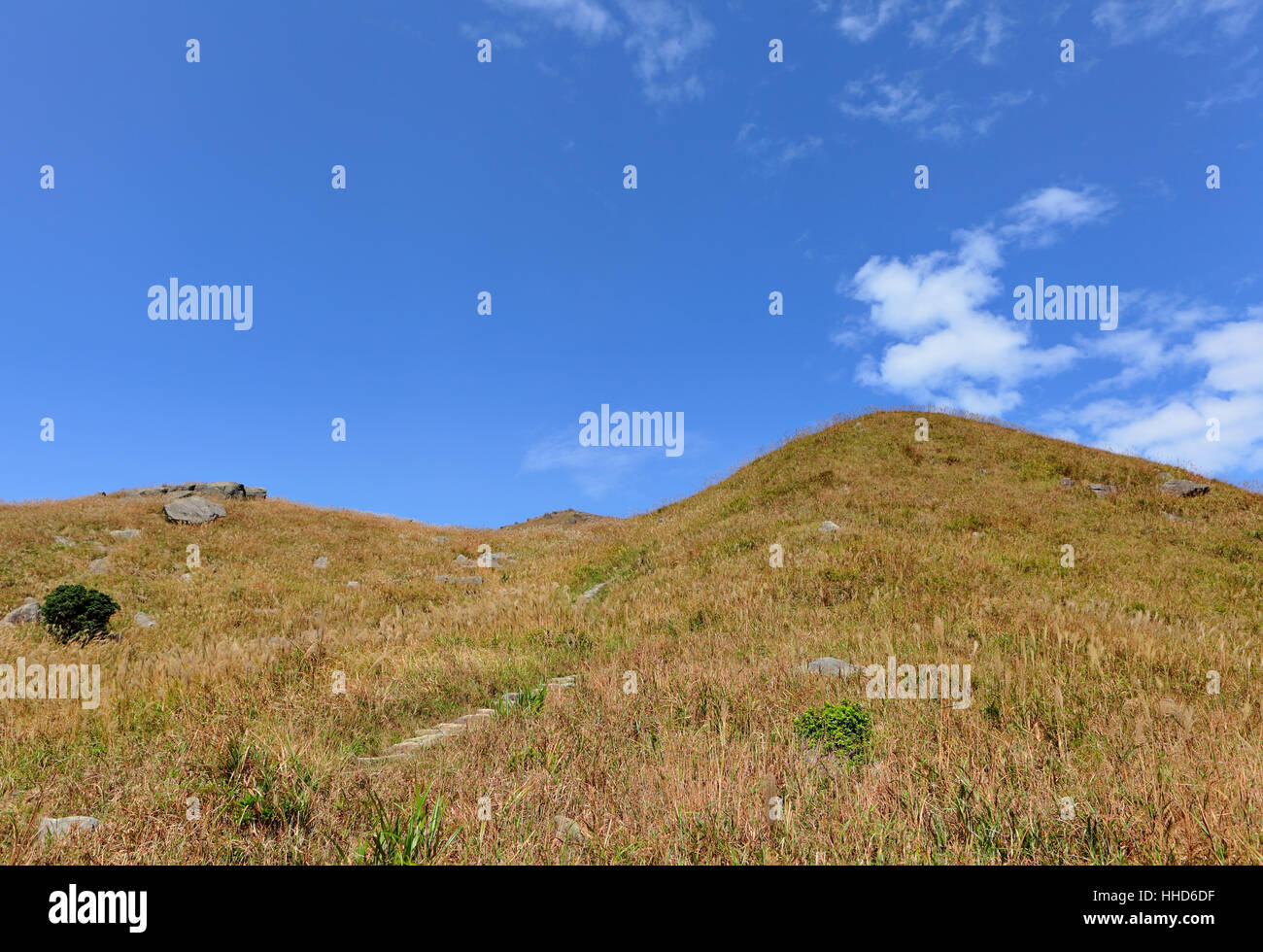 sport, sports, colour, ground, soil, earth, humus, strong, new, field ...