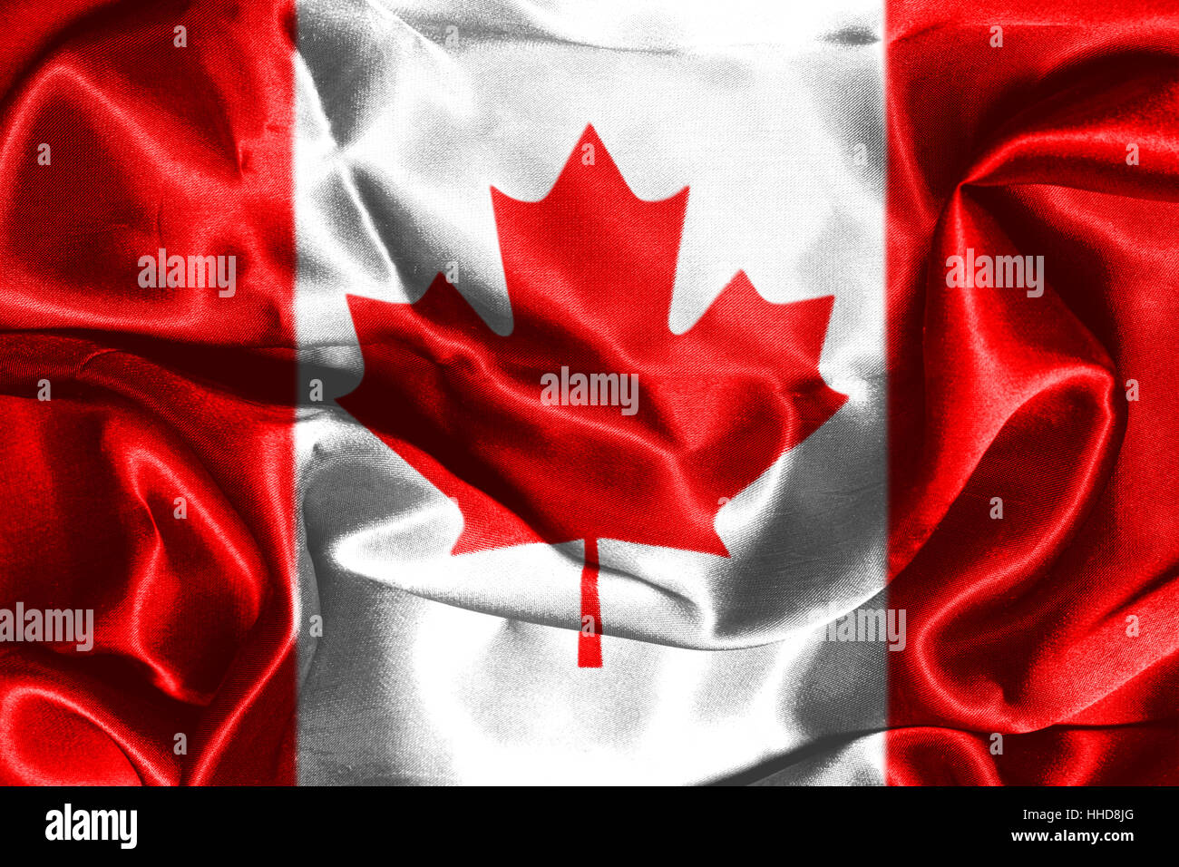 Canadian National Flag With Maple Leaf On It in Red And White Colors ...