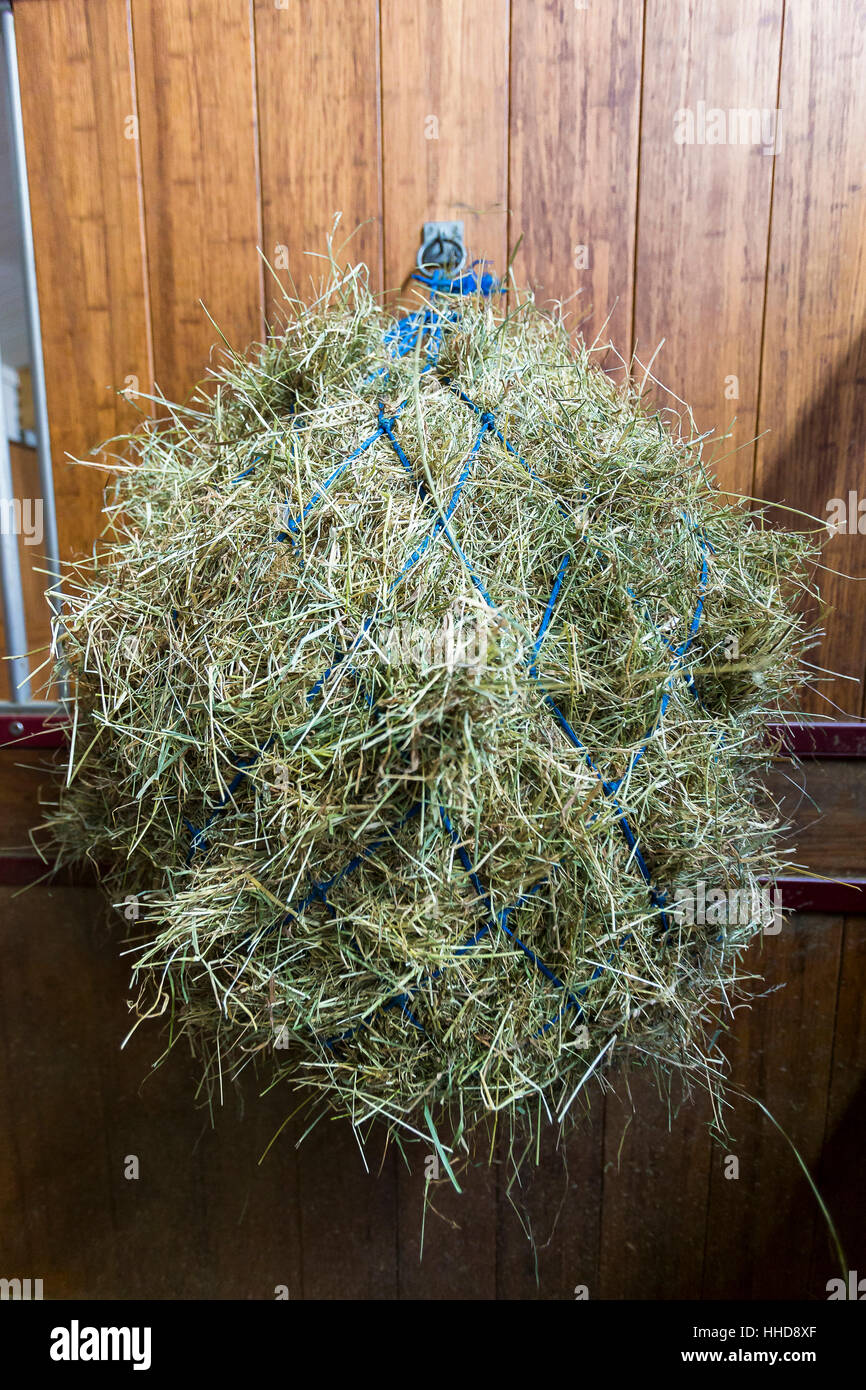 Horse hay net hi-res stock photography and images - Alamy