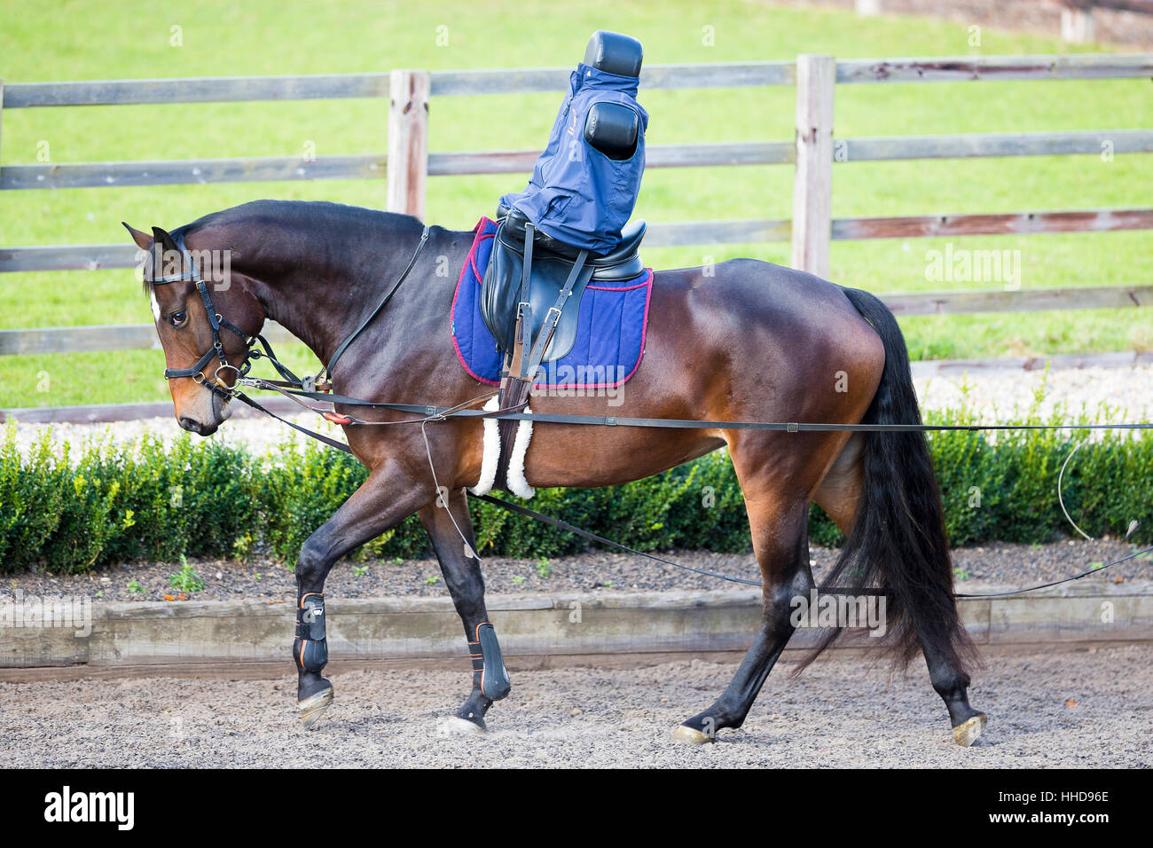 Horse dummy hi-res stock photography and images - Alamy