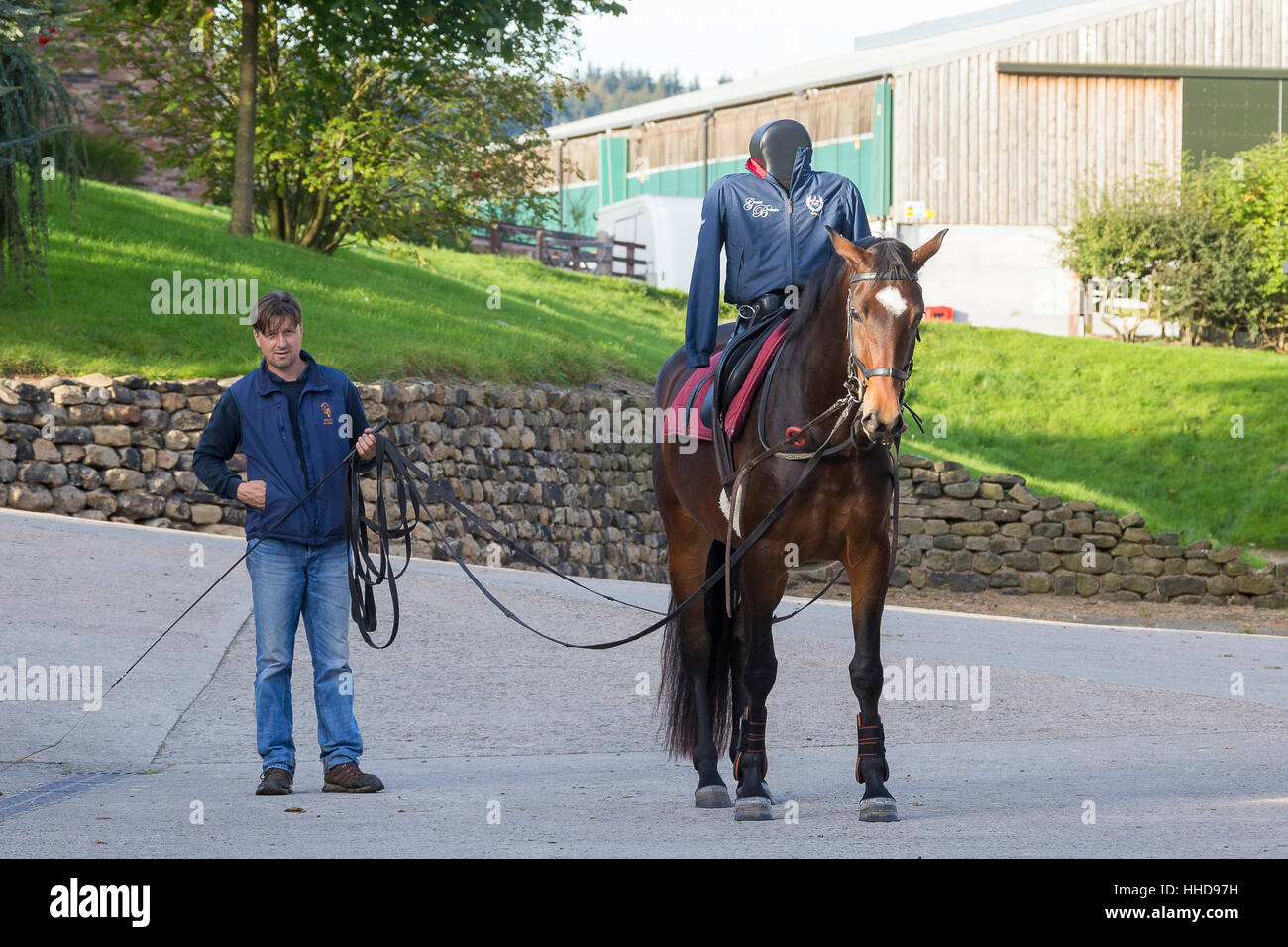 Oldenburg Horse, Training a juvenile mare with the help of double ...