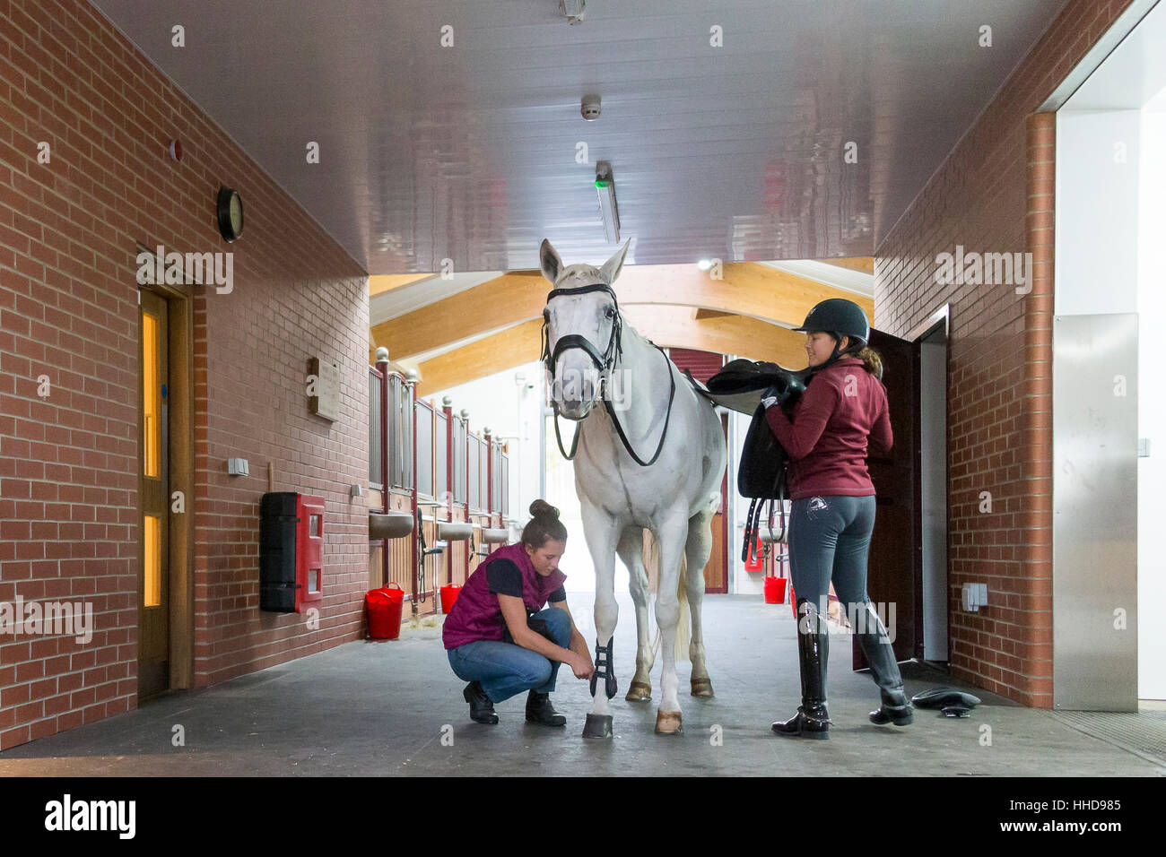 Stable lane. Great Britain Stock Photo - Alamy